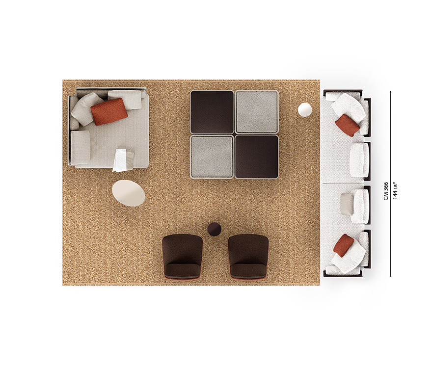 AMII | SOFAS - EN